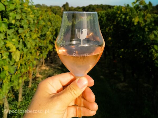 Trnawa - 10 atrakcji, które warto zobaczyć i zwiedzić w Trnawie oraz ...