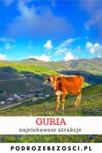 Guria atrakcje - TOP 10. Co zobaczyć w Gurii? Gruzja